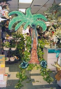 Palm Tree – Henry’s Florist